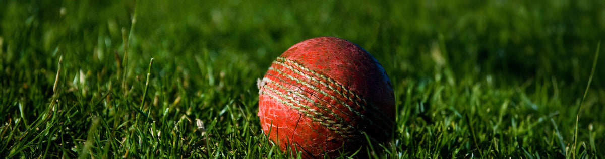 Cricket Nutrition 101: A Comprehensive Guide for Players — XMiles