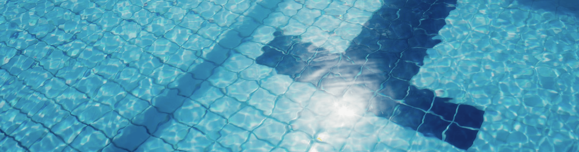 Best Energy Bars for Swimming — XMiles