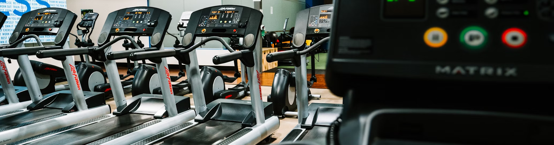 Demystifying VO2 Max: A Key Metric For Runners — XMiles